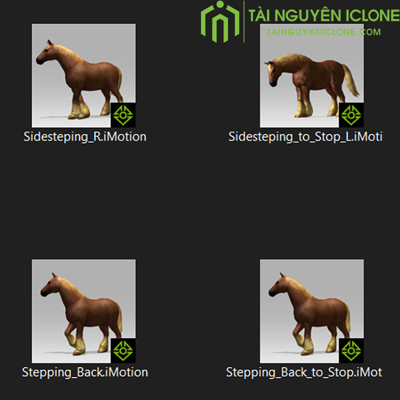 ANIMALS – TÀI NGUYÊN ICLONE